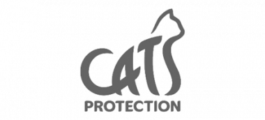 Pay Benchmarking Services | Data-Driven Salary Insights | Innecto